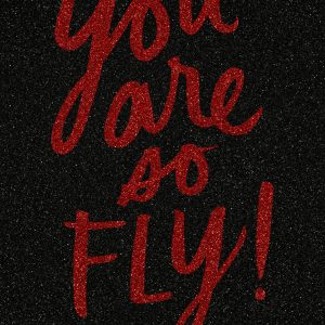 Jill Scott You Are So Fly Valentine's Day Card - Hallmark Corporate