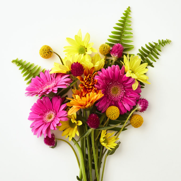 April Birth Flower - Daisy - Hallmark Corporate