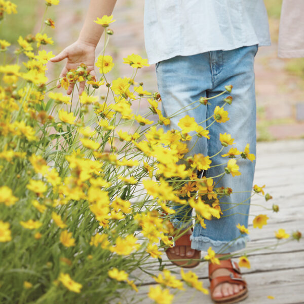 Halls Retail Employee Benefits - Hallmark Corporate